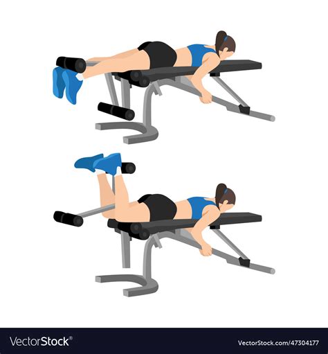 Woman Doing Lying Leg Curls Exercise Royalty Free Vector