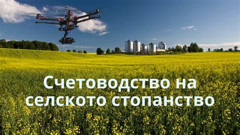 Счетоводство на селското стопанство Счетоводни Услуги