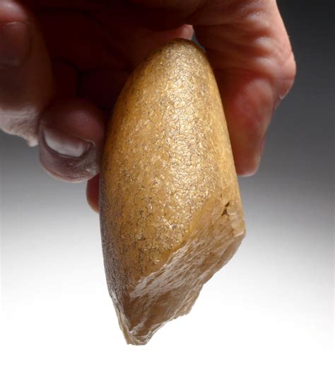 Extremely Rare Quartz Oldowan Pebble Chopper Axe From Mauritania Pb177 Time Vault Gallery