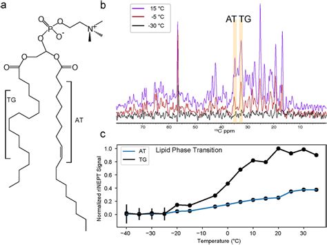Lipid Phase Rinept Experiments On Natural Abundance Popc A Structure Download Scientific