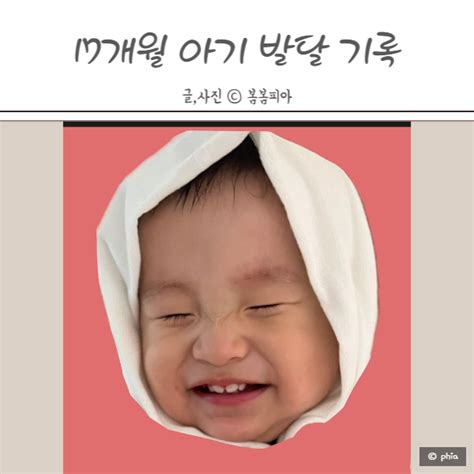17개월 아기 발달 언어 놀이 성장 기록 네이버 블로그