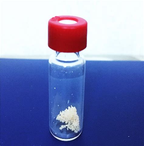 Cpnipaam Produced In Homogenous Phase Of Sc Co2 Solvent And Dmf Download Scientific Diagram