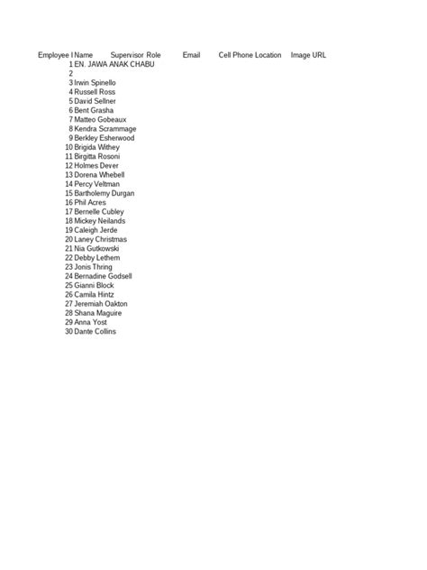 Org Chart Example Pdf