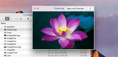 Apples Quick Look Reveals Your Darkest Secrets The Mac Security Blog