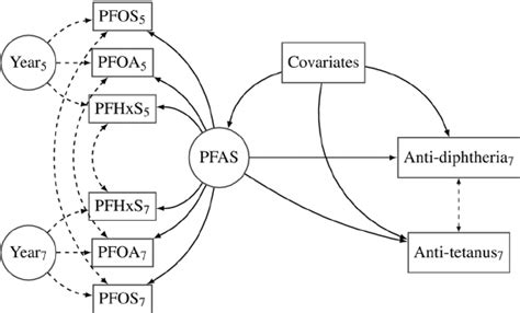 Structural Equation Model For Latent Pfas Exposure Middle Circle Download Scientific Diagram