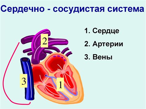 Кардиотонические препараты - online presentation