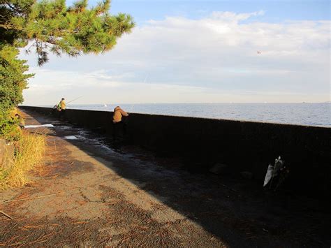 神奈川県警取材2022年12月に八景島対岸で発生した釣り人転落死亡事故について ORETSURI