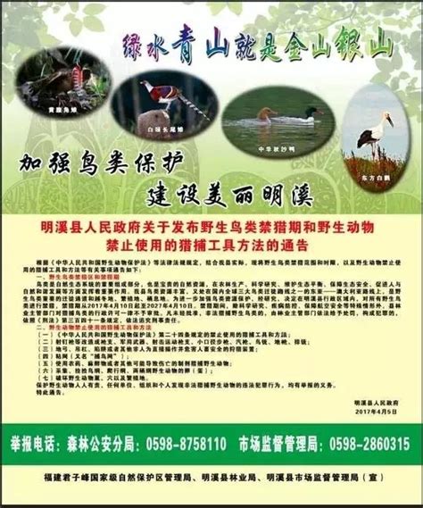 一萬張禁捕令撒向全縣——明溪縣為保護候鳥安全越冬撐起保護傘 每日頭條