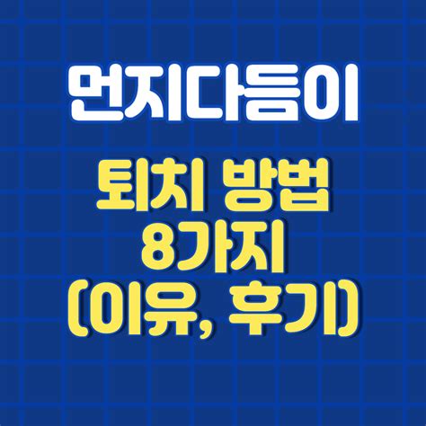 먼지 다듬이 벌레 퇴치 방법 8가지와 생기는 이유 및 후기