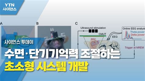 수면·단기기억력 조절하는 초소형 시스템 개발 Ytn 사이언스 Youtube