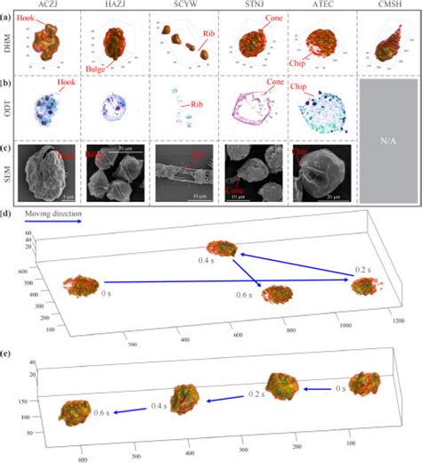 3d Imaging Of The Ocean Algae A 3d Shapes Of Six Kinds Of Ocean