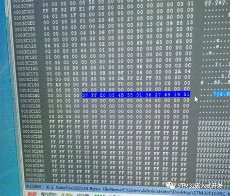 破解stm32f103芯片的方法 Csdn博客
