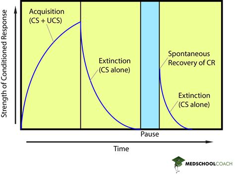 Classical Conditioning Mcat Psychology Medschoolcoach