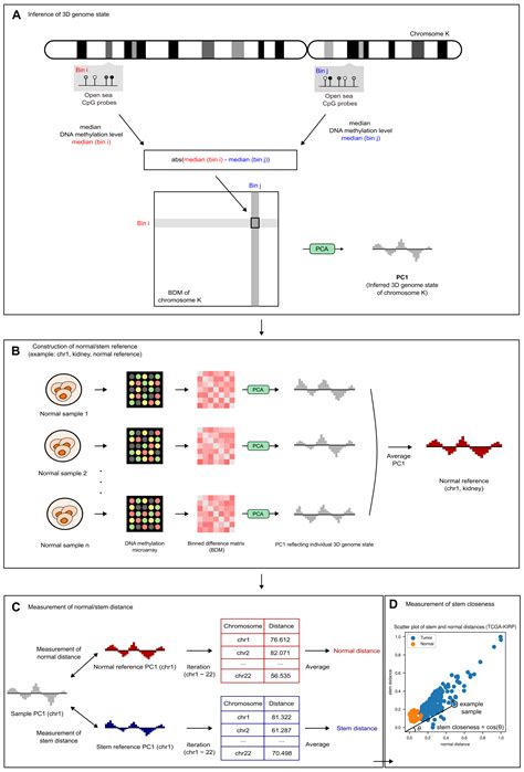 Github Jwyang21 3d Genome Risk Prediction [acm Bcb 2023 Oral Presentation] Official