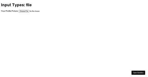 Input Types File Codesandbox Input Types File Codesandbox