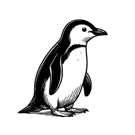 Free Penguin Vector Svg K40 Laser Cutter