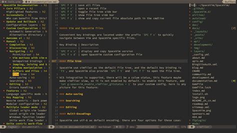 Documentation Spacevim