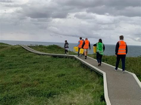 Successful Mutton Bird Season Concludes With Major Rescue Efforts In