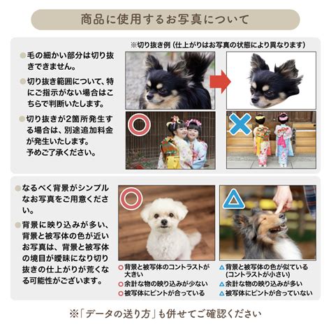 Keips 誕生日 プレゼント Tシャツ オリジナルtシャツ 写真 半袖 周年イベント 記念日 お祝い イベントtシャツ こども Te Aeb3 ケイ・ユニフォーム フード 通販