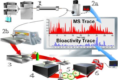 Traditional Hts With Often Iterative Deconvolution Processes 1