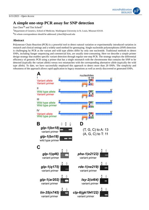 Pdf A Simple One Step Pcr Assay For Snp Detection