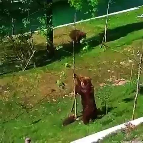 Hazrat Bilal On Linkedin Teacher Motivation People