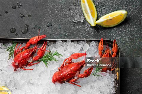 검은 색 접시 배경에 신선한 가재 음식 레스토랑에서 허브 향신료 레몬 로즈마리와 얼음을 곁들인 붉은 가재 스낵 해산물 갈고리 발톱에 대한 스톡 사진 및 기타 이미지 Istock