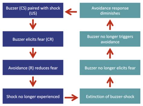 6 Avoidance Learning Flashcards Quizlet