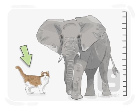 Definition And Meaning Of Minute In English Picture Dictionary