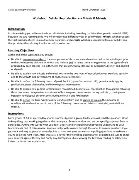 Mitosis Meiosis Workshop Cell Reproduction