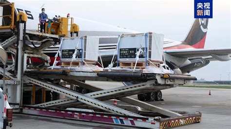 ဂျပန်နိုင်ငံမှ ပန်ဒါ ၄ ကောင် တရုတ်နိုင်ငံသို့ ပြန်လည်ရောက်ရှိ