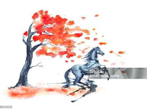 흰색에 붉은 을 나무 잎 얼룩 지우고 잉크 말 젖은 수채화 양육 검은색에 대한 스톡 벡터 아트 및 기타 이미지 검은색 말 필기용 잉크 Istock