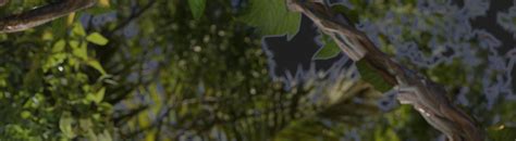 Blender Render Image With Visible Hdri But I Do Have Turned Transparency Basics And Interface