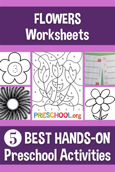 The 50 Best Preschool Activities For Flowers Theme