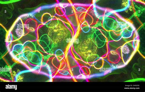 Microscopic Structure 3d Render Of Living Abstract Protozoan Organism Dangerous Viral Microbe