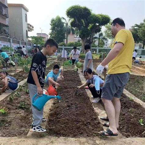 【阳光校园 活力一小】小种植，说故事爸爸活动劳动