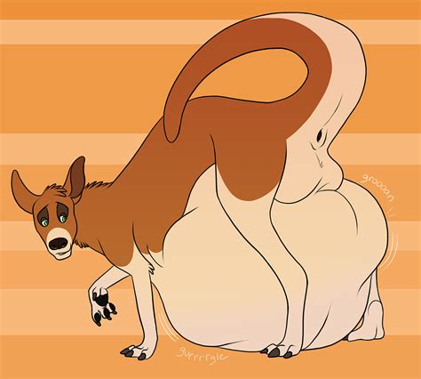 Rule 34 Anus Balls Belly Corgeh Feral Kangaroo Looking Back Marsupial Morbidly Obese Post Vore