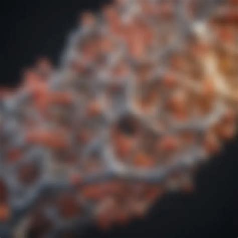 Exploring Elevated Procalcitonin Implications And Insights