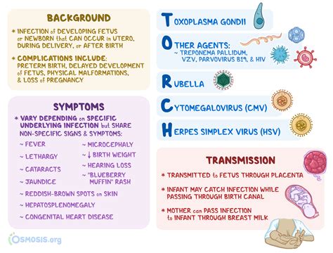 Treatment Of Torch Infection In Early Pregnancy At Avis Smith Blog