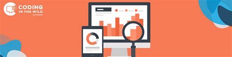 Coding For A Digital Health Nonprofit By Codehs Coding In The Wild