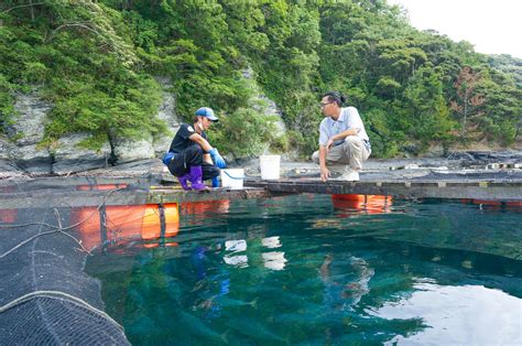 対馬の海探検ツアー海遊記 体験 公式長崎しま旅行こう 長崎の島々の観光旅行情報ならココ