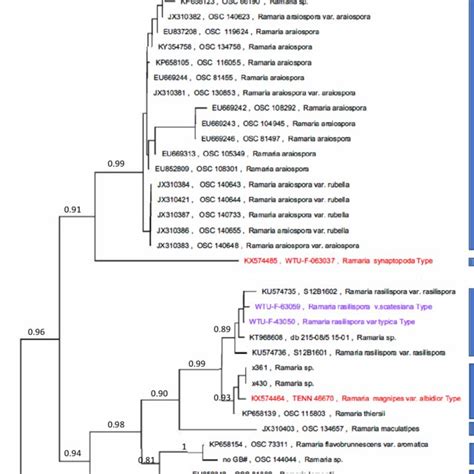 1 A Simple Bifurcating Tree Highlighting The Measures Taken To