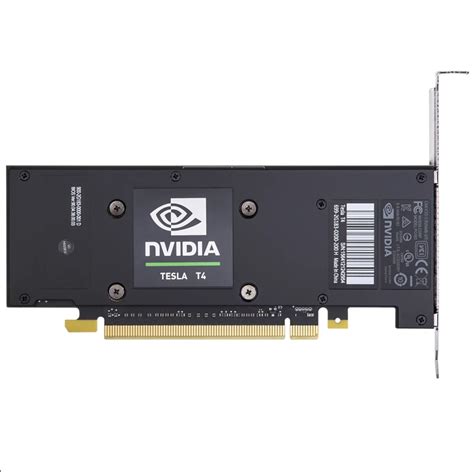 英伟达nvidia Tesla T4 16g显卡ai人工智能深度学习gpu运算加速卡 虎窝淘