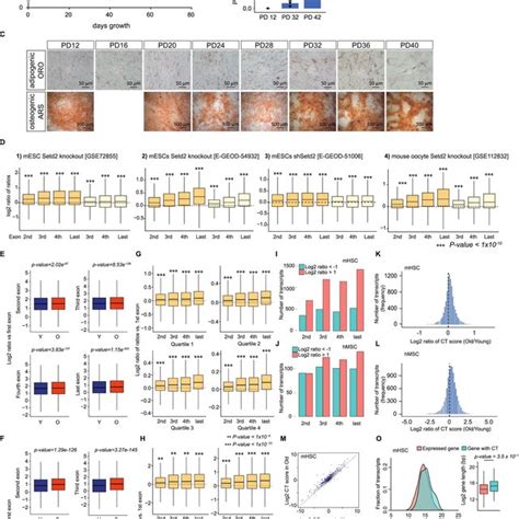 Analysis Of Aging Rna Seq In Nscs And Other Tissues Ab Boxplots