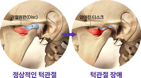 송파 세종한의원