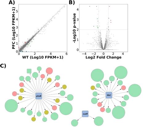 Transcriptomic Analysis Of The Designed Strain A Correlation Plot For Download Scientific