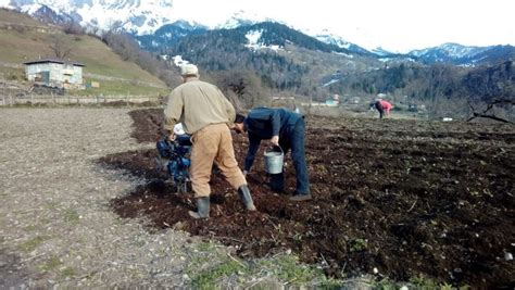 საგაზაფხულო სამუშაოები აჭარის მთის ყველაზე მაღალ სოფელში [ფოტო] Batumelebi • სოფელი ხულო