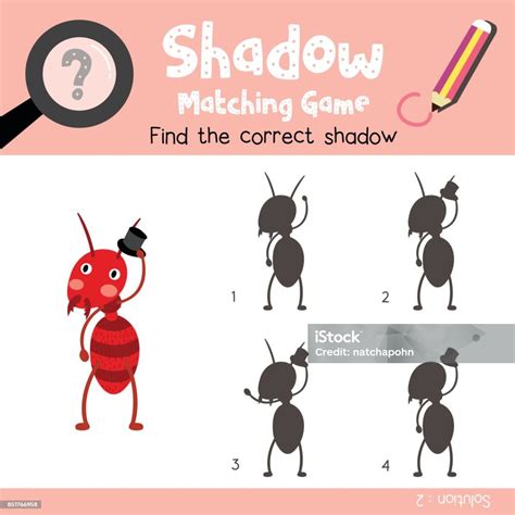 검은 모자 벡터 일러스트와 함께 그림자 일치 게임 불 개미 개미에 대한 스톡 벡터 아트 및 기타 이미지 개미 곤충 교육