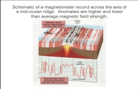 Major 2 Practices 201 Flashcards Quizlet
