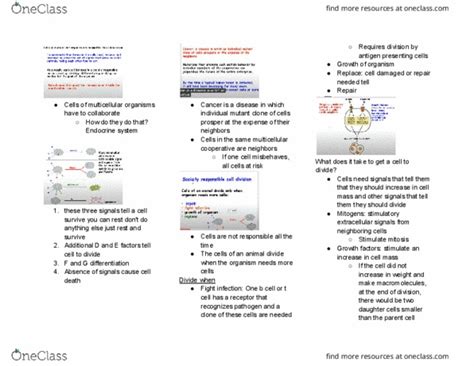 Biol 10200 Lecture 12 Bio 102 Stem Cells Videos Notes Oneclass